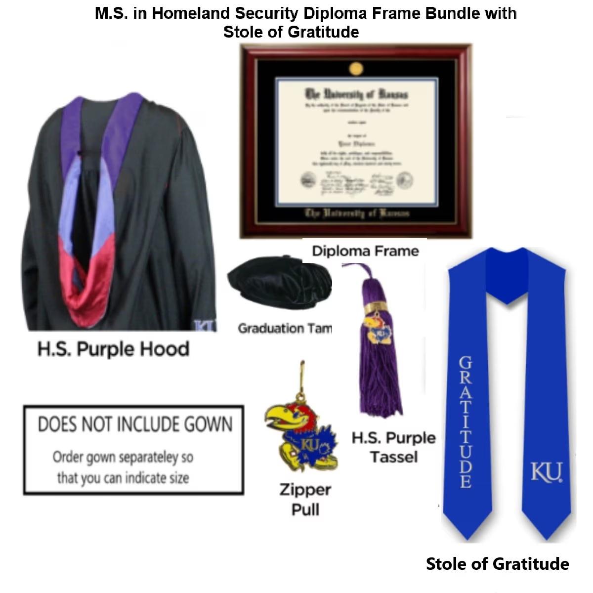 M.S. in Homeland Security Diploma Frame Bundle