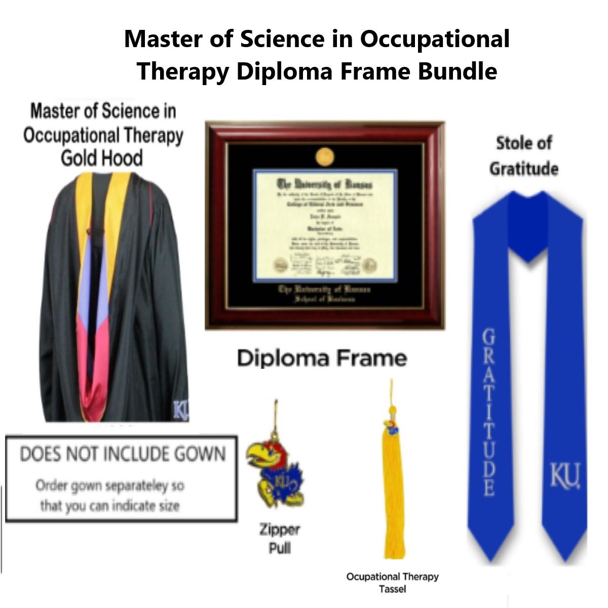 Master of Science in Occupational Therapy Diploma Frame Bundle