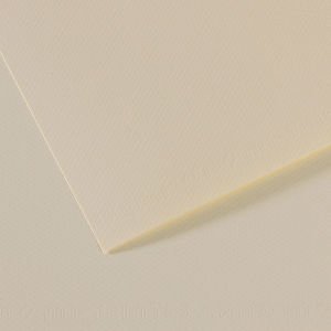 Canson Paper Mi-Teintes 19x25 - 110 Lily